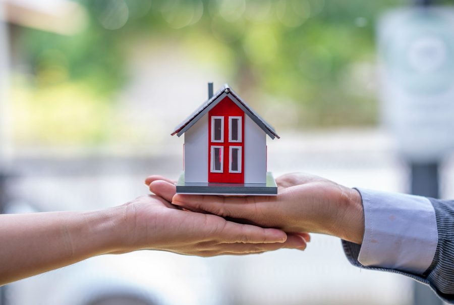 Individual Insurance - Enwealth Insurance